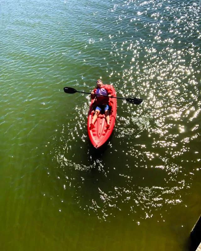 Devils Swamp Kayak And Walking Tour - Gulf Coast Eco Tour